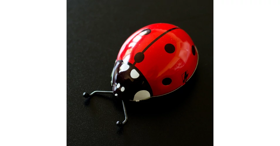 Katica bogár felhúzós lemezjáték - Állatok - Játékszerek Anno Webáruház ...